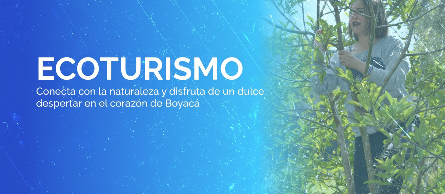 Blog Ingresa Regístrate
